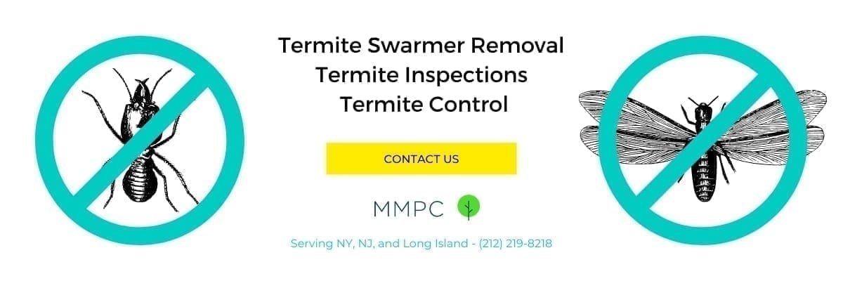 What is a Wood Destroying Insect (WDI) Inspection Report?