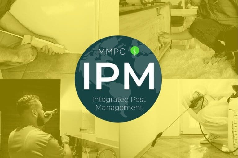 What Is Integrated Pest Management (IPM)?