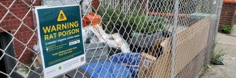 How to Get Rid of Burrowing Rats