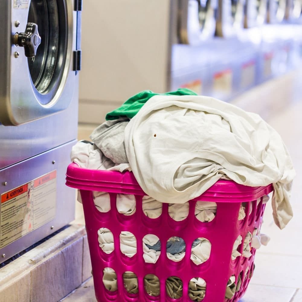 How to Deal With Bed Bugs at the Laundromat or Dry Cleaners - MMPC